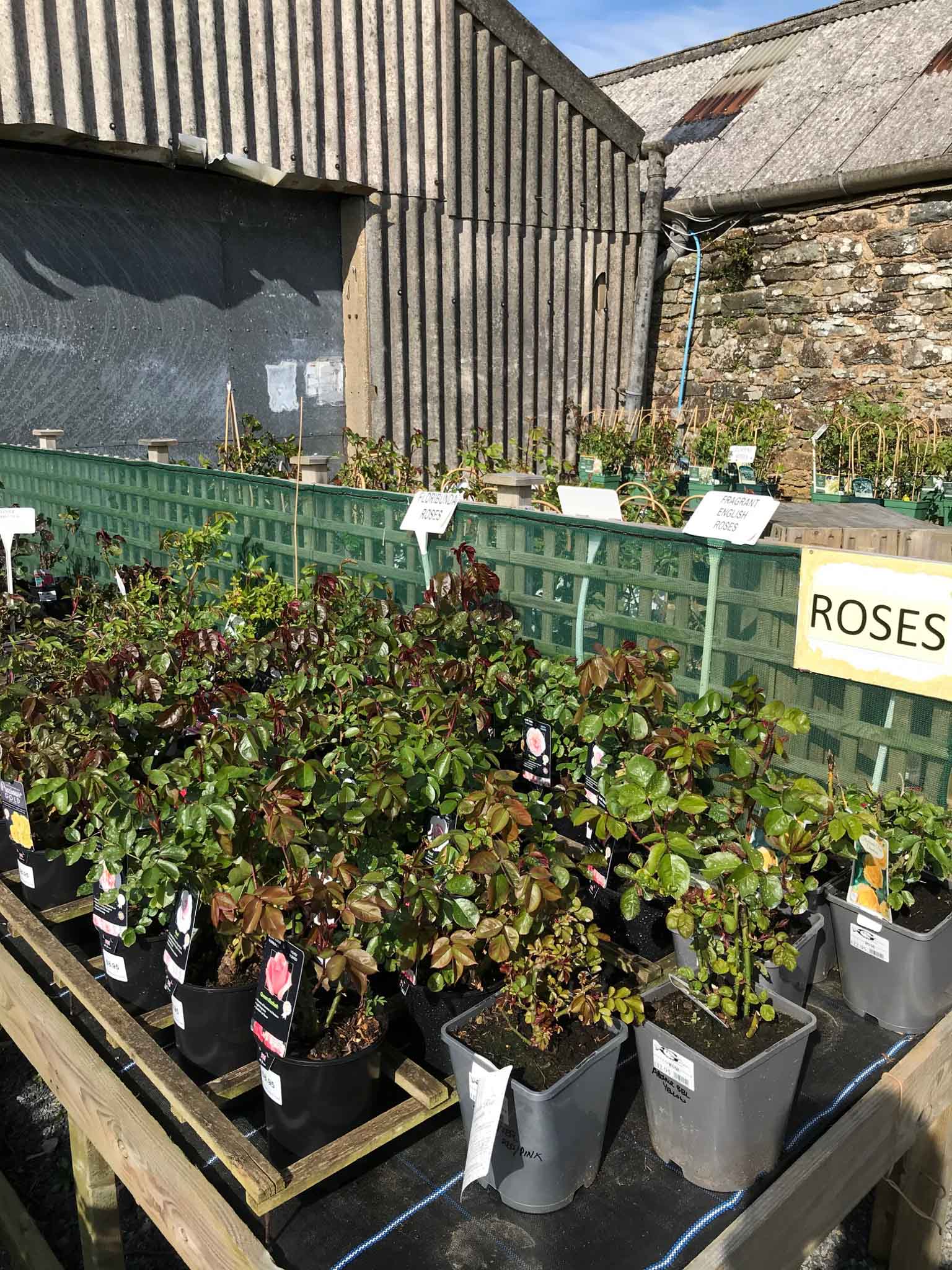 Penrallt Garden Centre and Nursery in Pembrokeshire